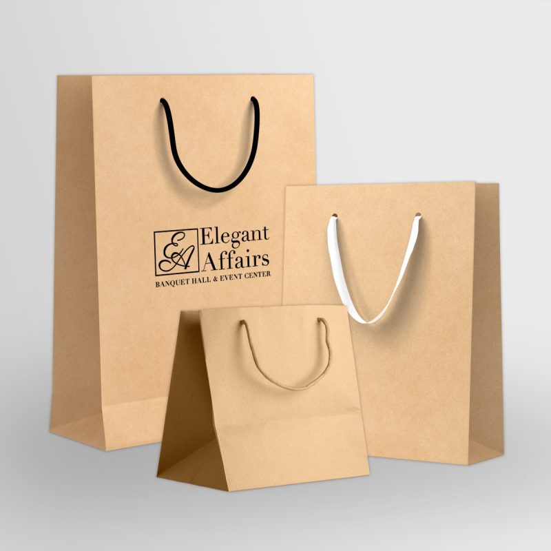 Printed Carry Bag | Paper Bags Printing Online - PrintingO.in